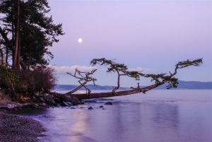 Washington Park - Swinomish Casino and Lodge